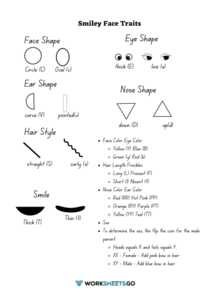 Genetics With A Smile Worksheets | WorksheetsGO