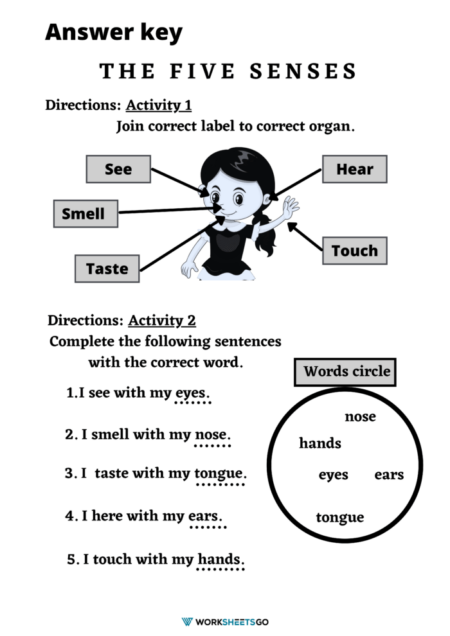 5 Senses Worksheets | WorksheetsGO