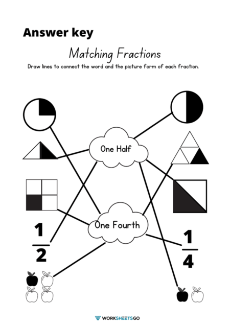 Halves And Fourths Worksheet – Matching Fractions | WorksheetsGO