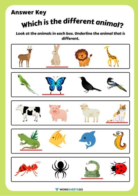 Find The Difference Worksheets | WorksheetsGO