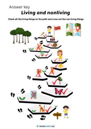 Living Vs Nonliving Worksheets | WorksheetsGO