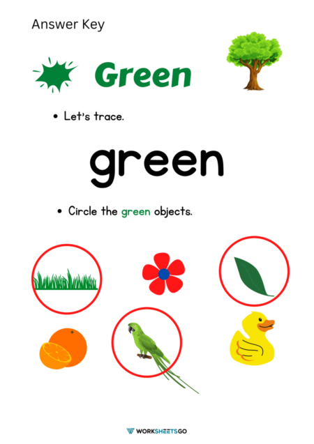 Color Green Worksheets | WorksheetsGO