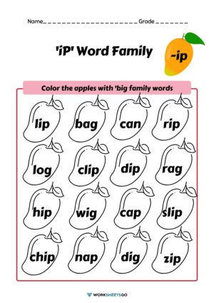 IP Word Family Worksheets | WorksheetsGO