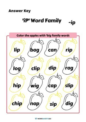 IP Word Family Worksheets | WorksheetsGO