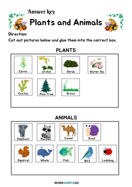 Plants And Animals Worksheets | WorksheetsGO