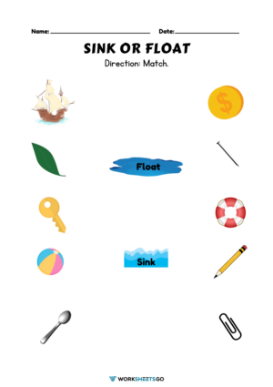 Sink Or Float Worksheets | WorksheetsGO