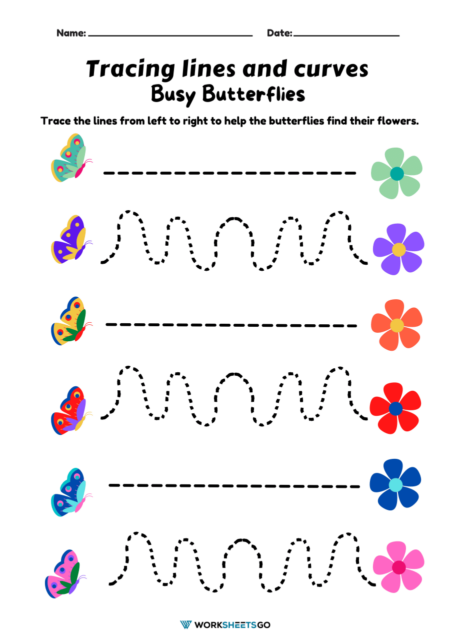 Tracing Lines and Curves Worksheets | WorksheetsGO