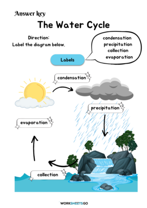 The Water Cycle Worksheets | WorksheetsGO