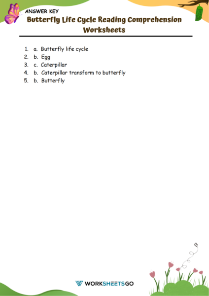 Butterfly Life Cycle Reading Comprehension Worksheets | WorksheetsGO