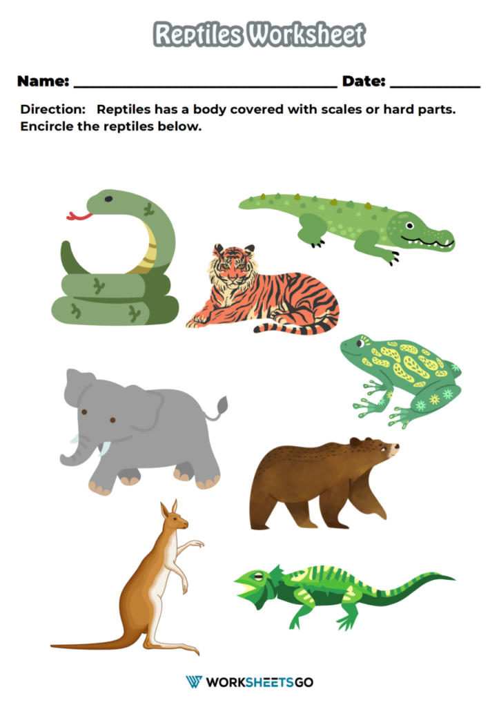 Reptiles Worksheets | WorksheetsGO