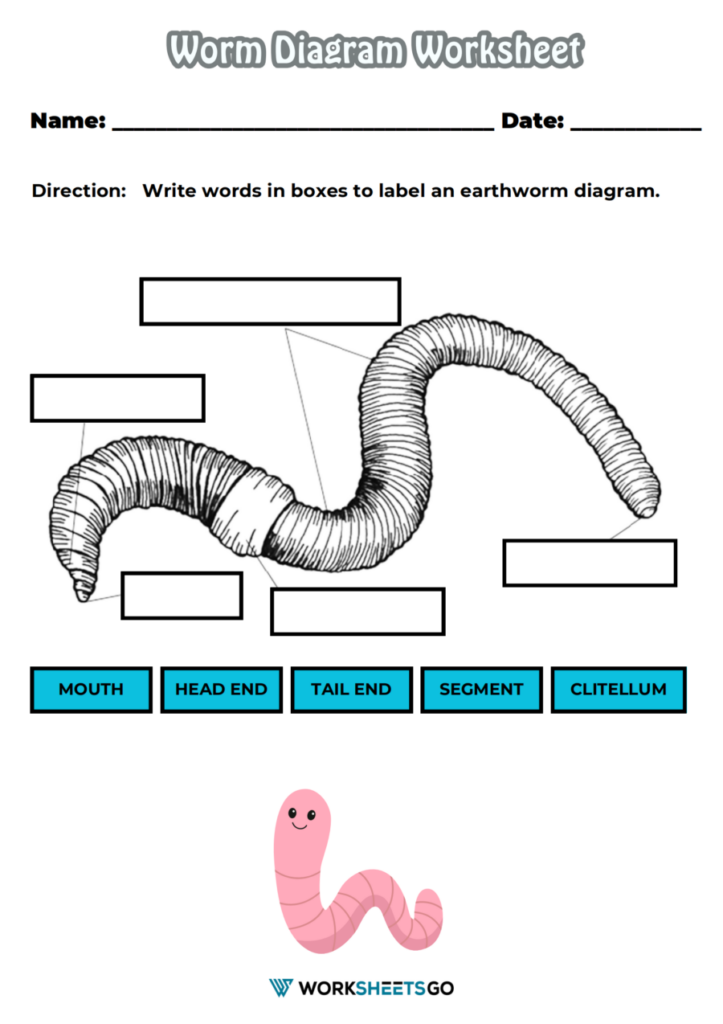 Rock Cycle Diagram Worksheets | WorksheetsGO
