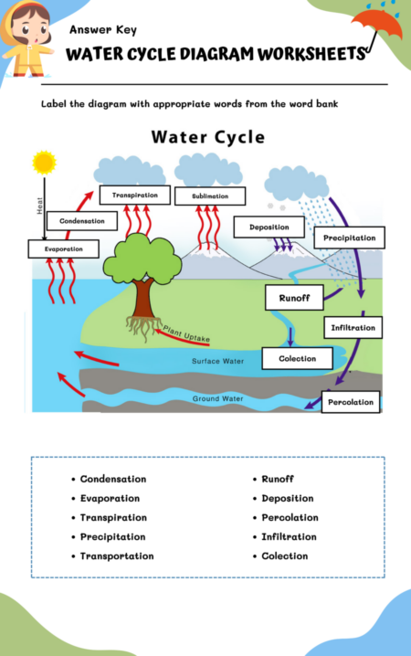 Water Cycle Diagram Worksheets | WorksheetsGO