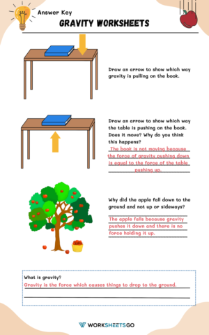 Gravity Worksheets | WorksheetsGO