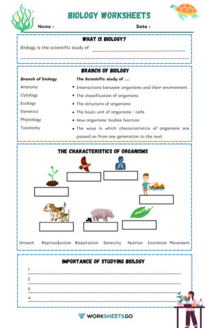 What is Biology Worksheets | WorksheetsGO