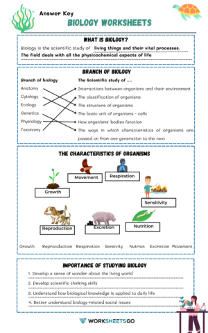 What is Biology Worksheets | WorksheetsGO