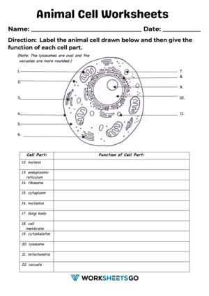 Printable 7th Grade Science Worksheets | WorksheetsGO