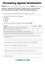 Circulatory System Worksheets | WorksheetsGO