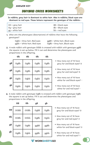 Dihybrid Cross Worksheets | WorksheetsGO