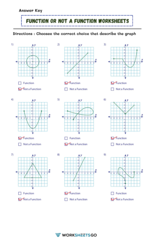 Function Or Not A Function Worksheets | WorksheetsGO
