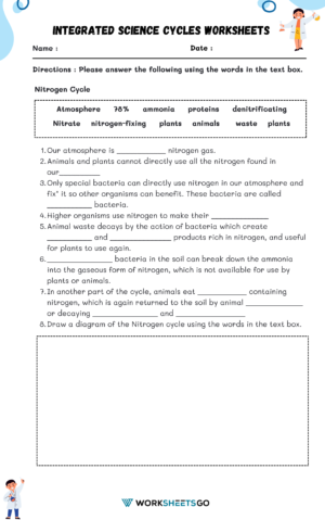 Integrated Science Cycles Worksheets | WorksheetsGO