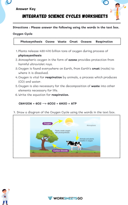 Integrated Science Cycles Worksheets | WorksheetsGO