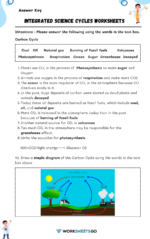 Integrated Science Cycles Worksheets | WorksheetsGO