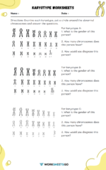 Decoding Our Genetic Blueprint: Karyotype Worksheets | WorksheetsGO
