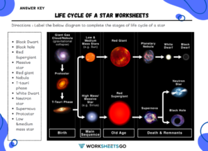 Life Cycle Of A Star Worksheets | WorksheetsGO