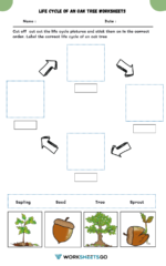 Ten Rhyming Words Worksheets | WorksheetsGO