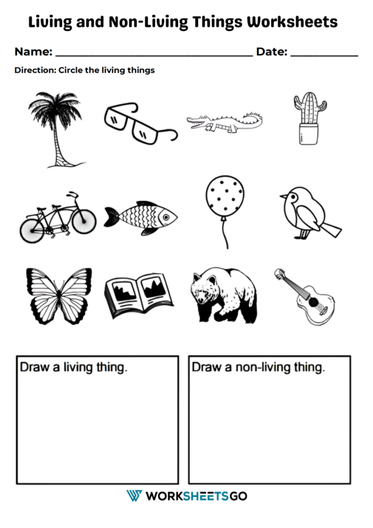 Living And Non Living Things Worksheets Worksheetsgo