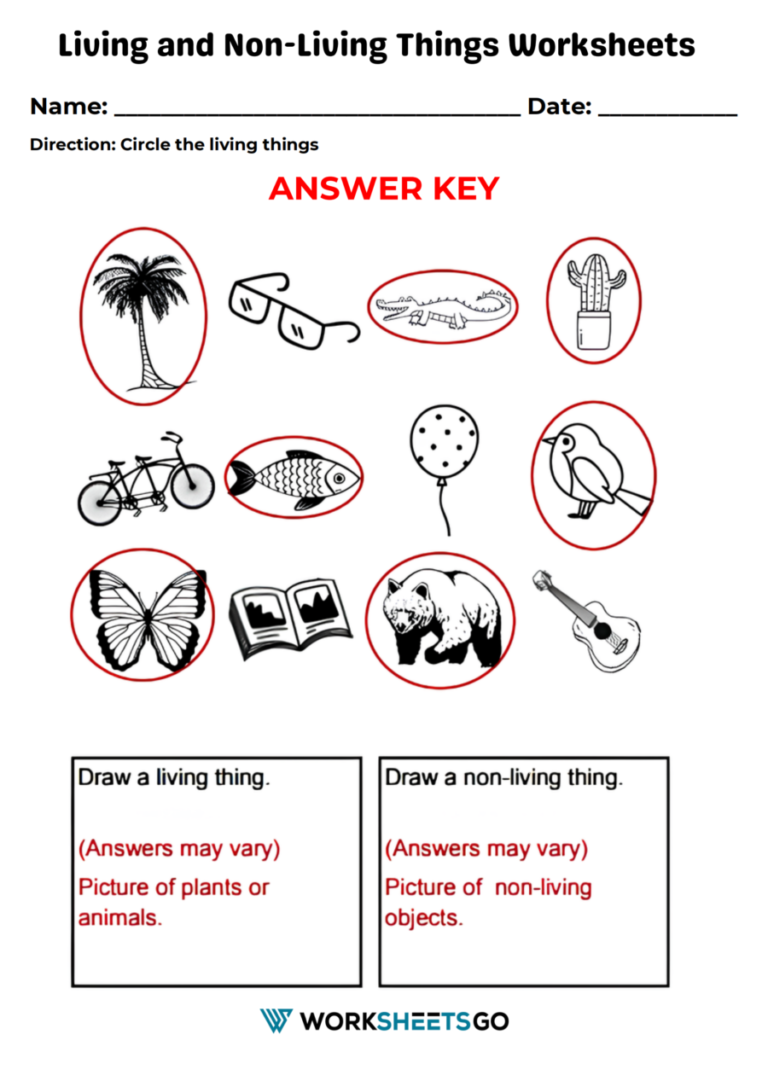 Living and Non-Living Things Worksheets | WorksheetsGO