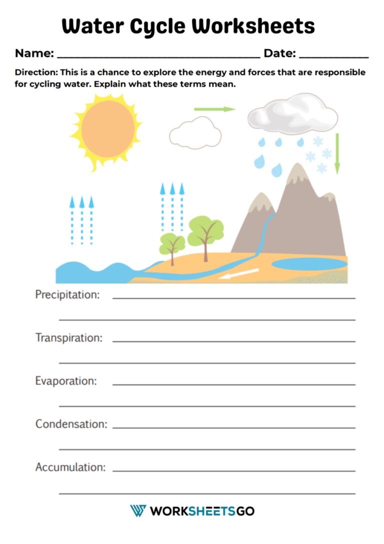 The Water Cycle Worksheets | WorksheetsGO