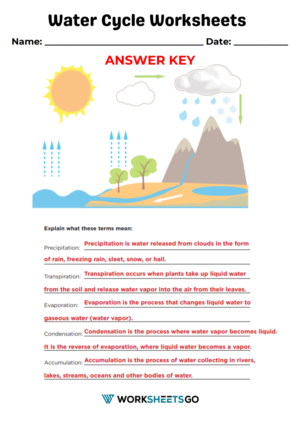 The Water Cycle Worksheets | WorksheetsGO