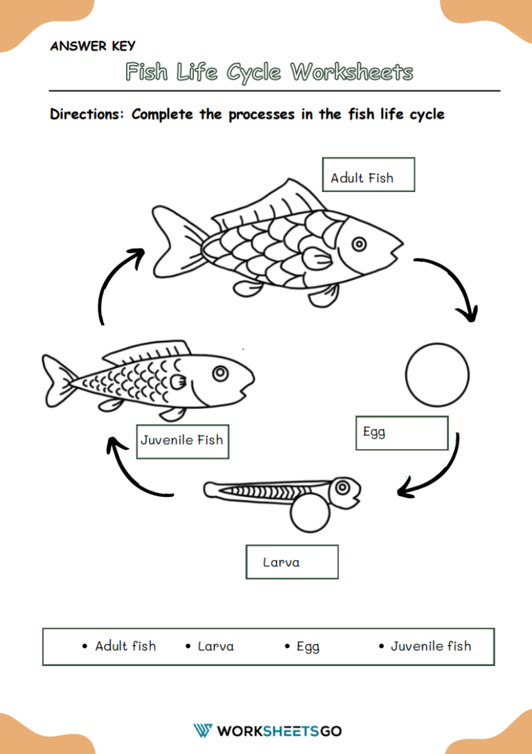 Fish Life Cycle Worksheets | WorksheetsGO