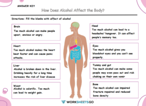 How Does Alcohol Affect the Body Worksheets | WorksheetsGO