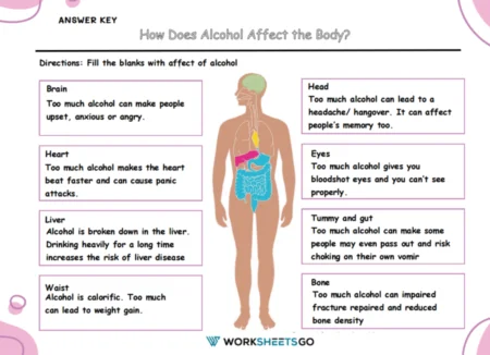 How Does Alcohol Affect the Body Worksheets | WorksheetsGO