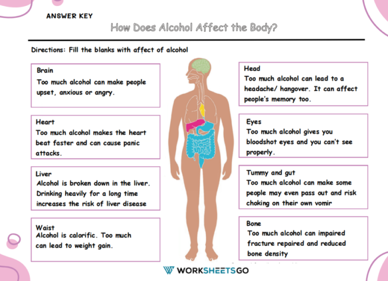 How Does Alcohol Affect the Body Worksheets | WorksheetsGO