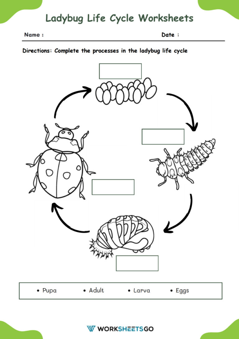 Printable 4th Grade Science Worksheets | WorksheetsGO