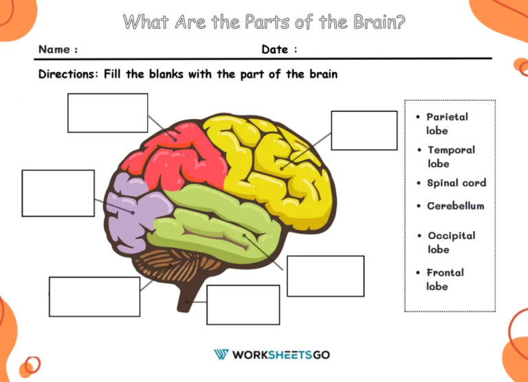 Parts Of A Computer Word Search Worksheets | WorksheetsGO
