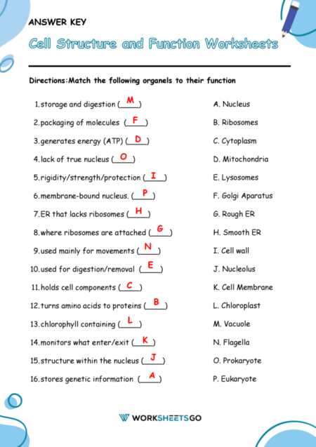 Cell Structure and Function Worksheets | WorksheetsGO