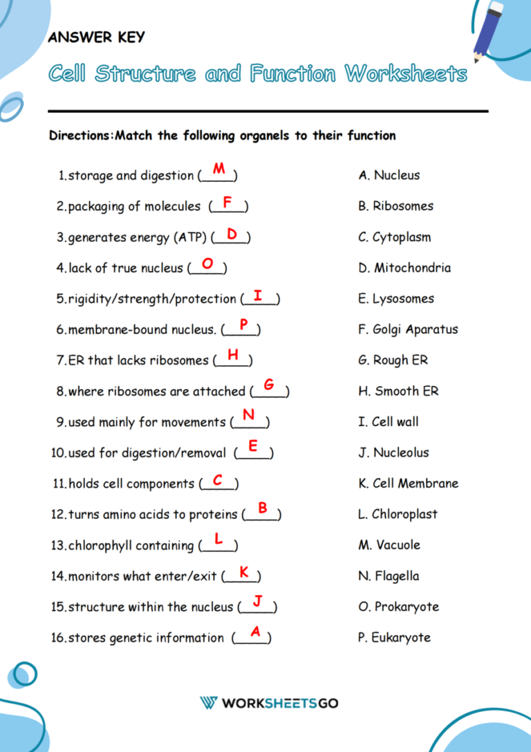 Cell Structure and Function Worksheets | WorksheetsGO