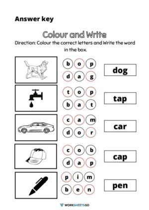 Three Letter Words Worksheets | WorksheetsGO