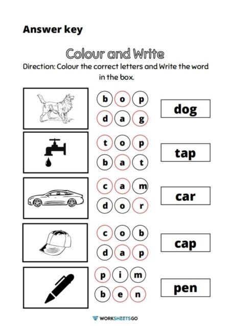 Three Letter Words Worksheets | WorksheetsGO